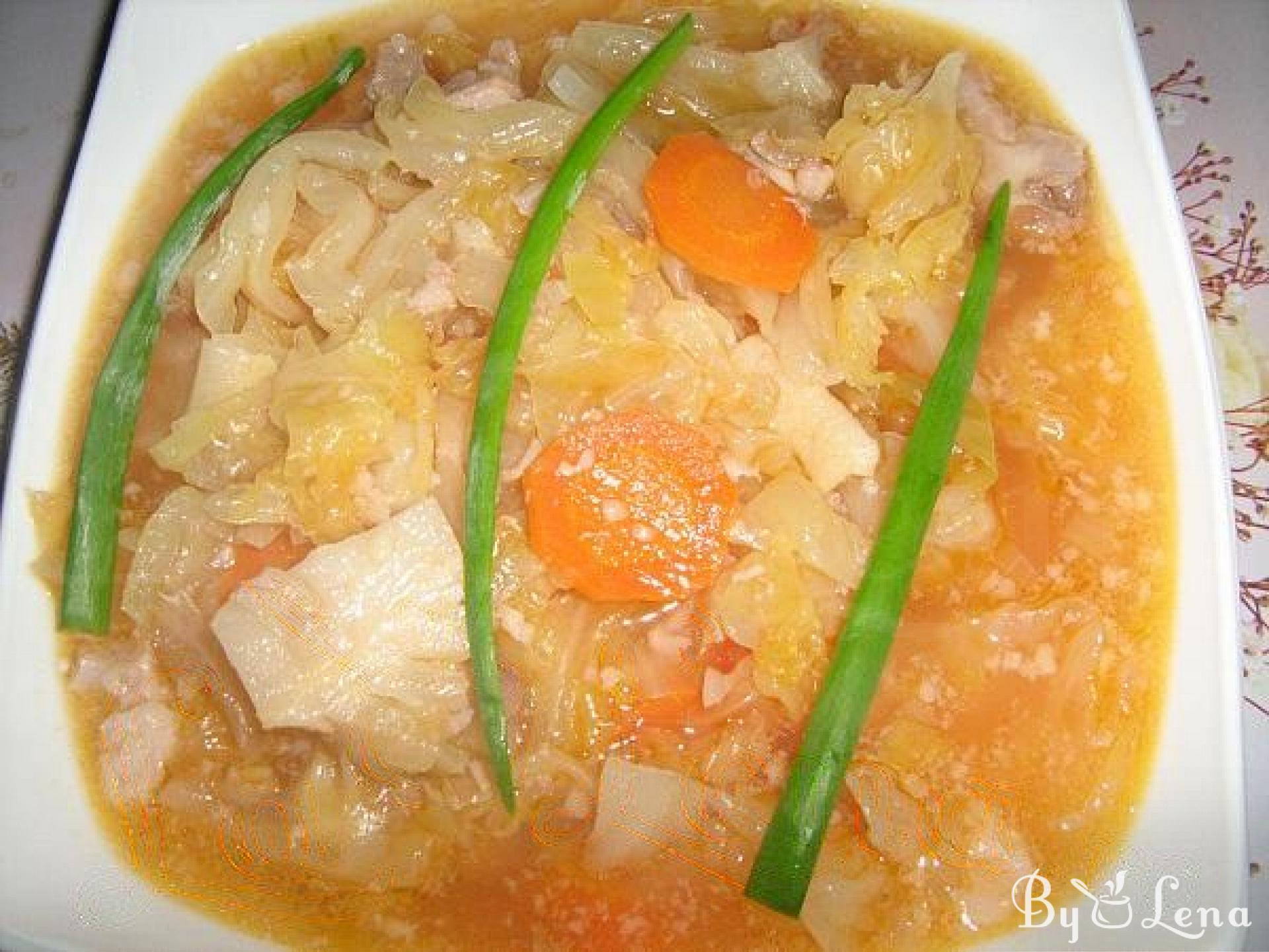 Moldovian Pickled Cabbage Soup - ByLena.com