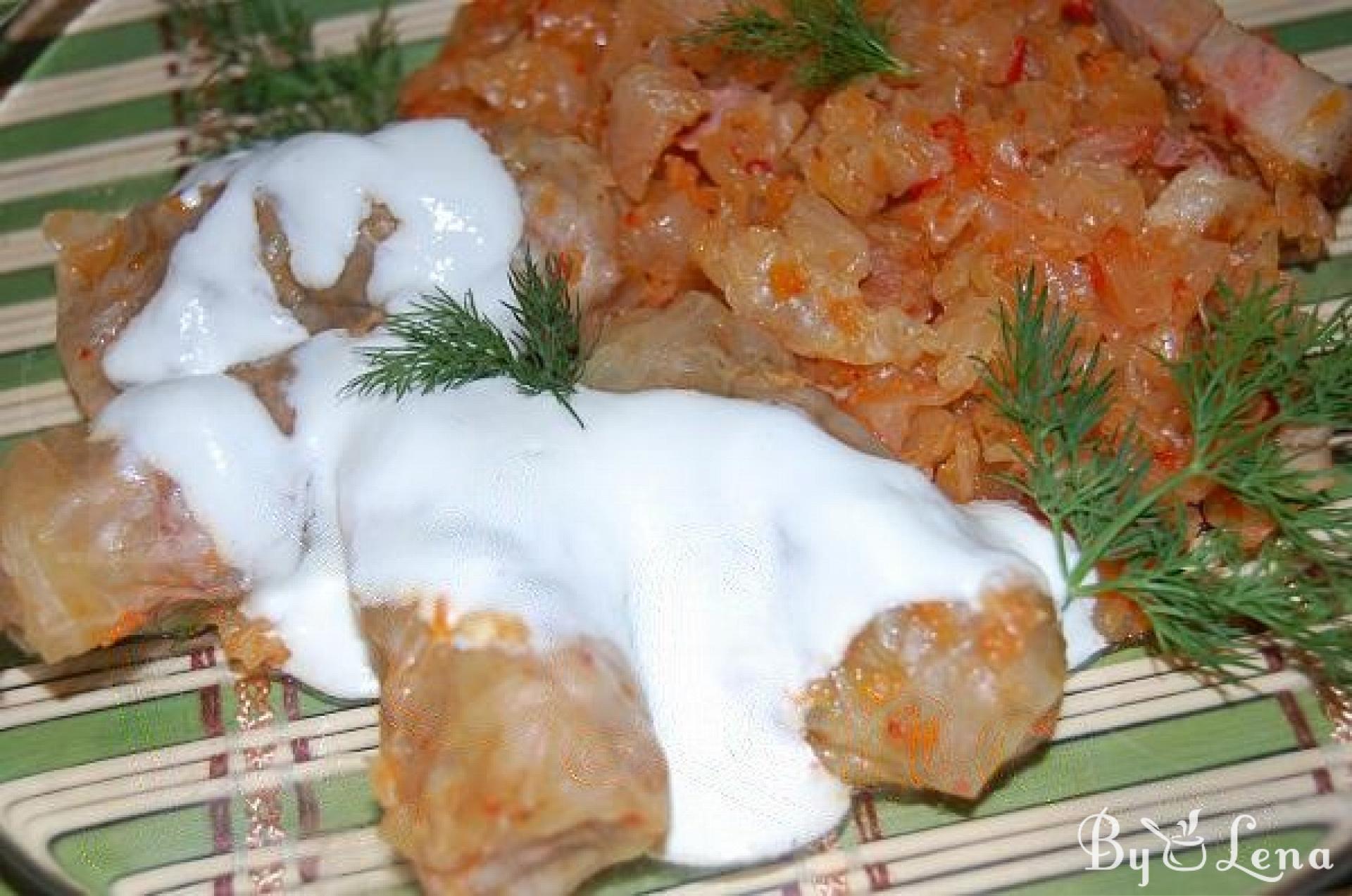 Traditional Romanian Stuffed Cabbage Rolls (Sarmale) Recipe - ByLena.com